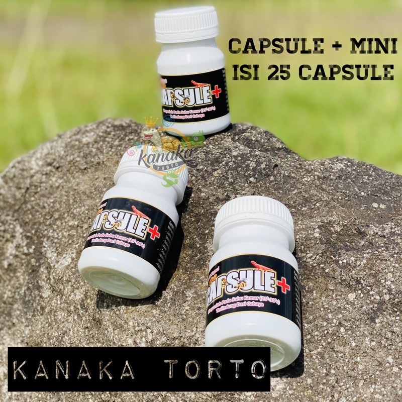Jual Capsule Plus Mini Obat Reptile Torto Lemas Sakit Mencret Sulcata ...