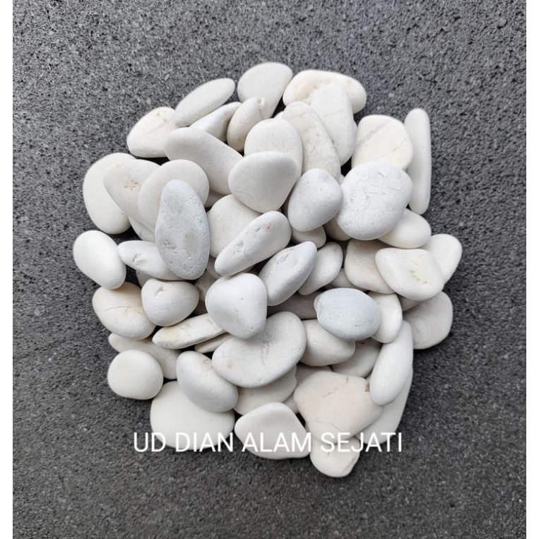 Jual Batu coral putih kupang 1kg, batu hias, batu taman, batu terapi ...