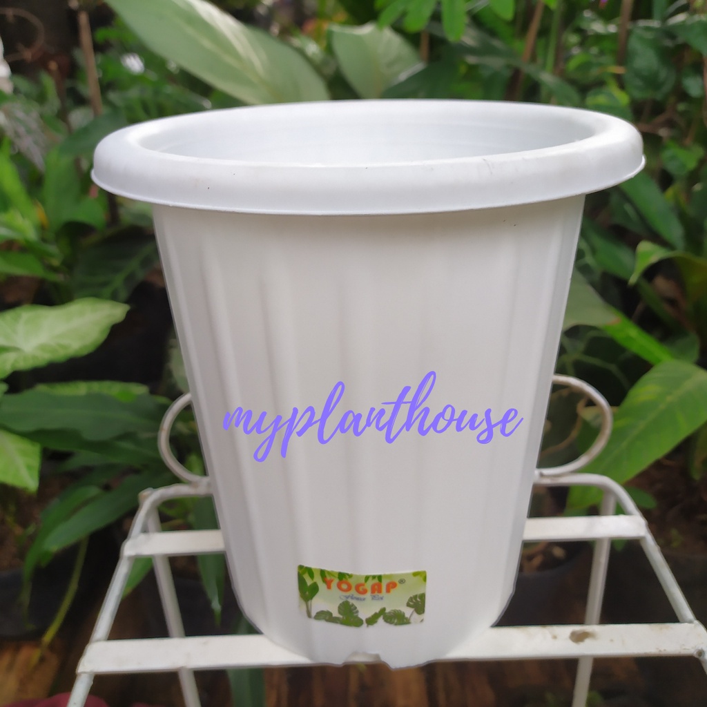 Jual Pot Yogap YPT 15 Putih | Pot Tanaman Bunga | Shopee Indonesia