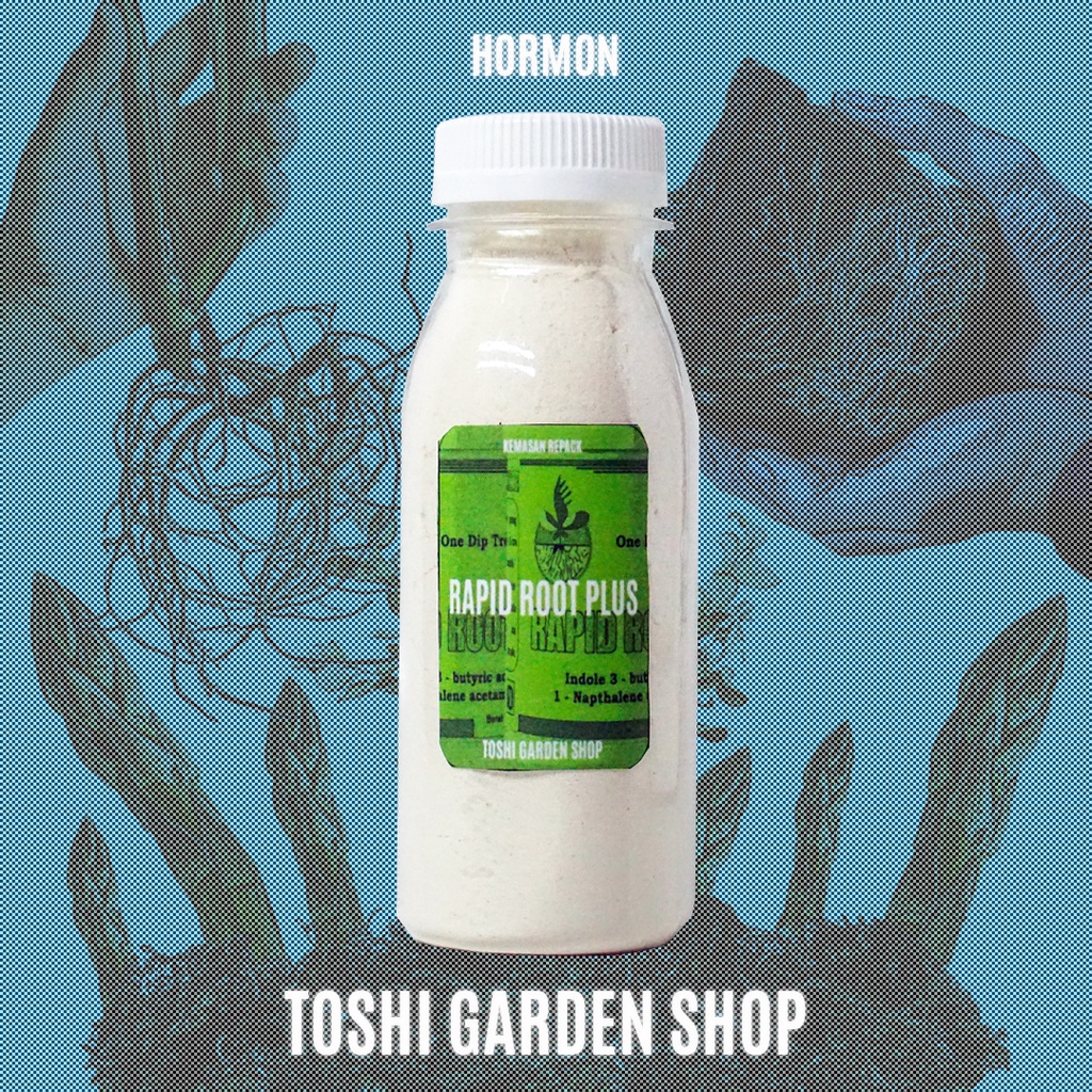 Jual REPACK RAPID ROOT PLUS 30 GR (HORMON PERTUMBUHAN AKAR) | Shopee ...