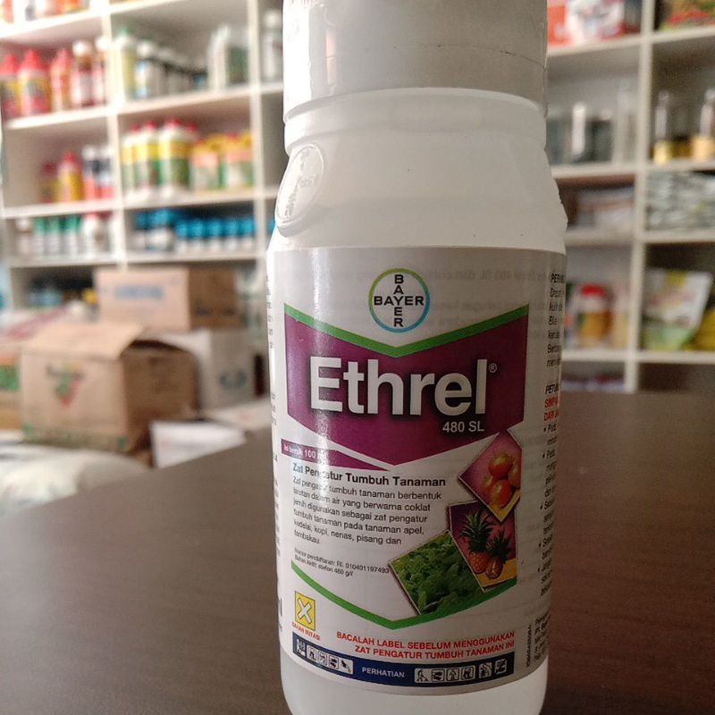 Jual ETHREL 480SL 100ML ZAT PENGATUR PEMASAKAN BUAH (KARBIT BUAH ...