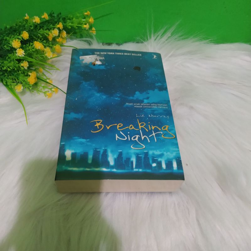 Jual Novel Breaking Night - Liz Murray (Kisah anak jalanan yang ...