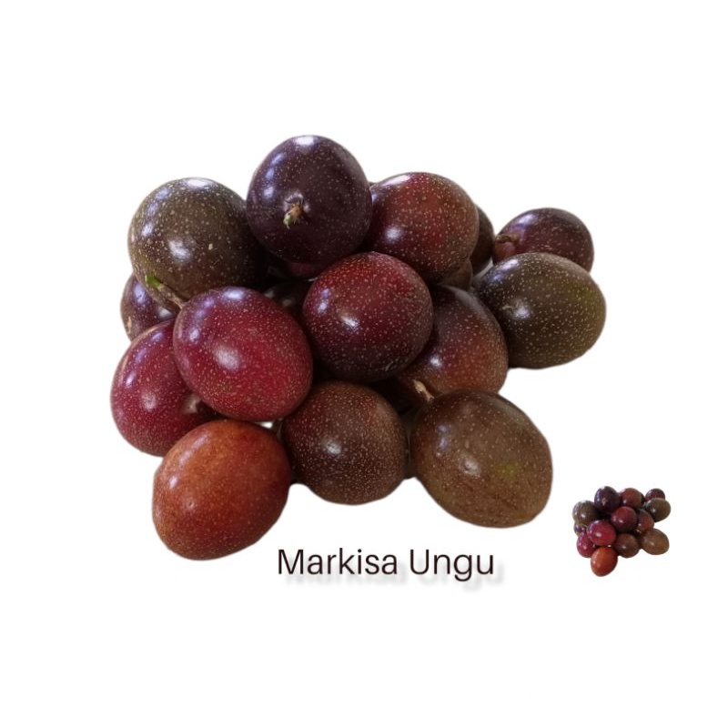 Jual markisa ungu fresh dan segar 1kg | Shopee Indonesia