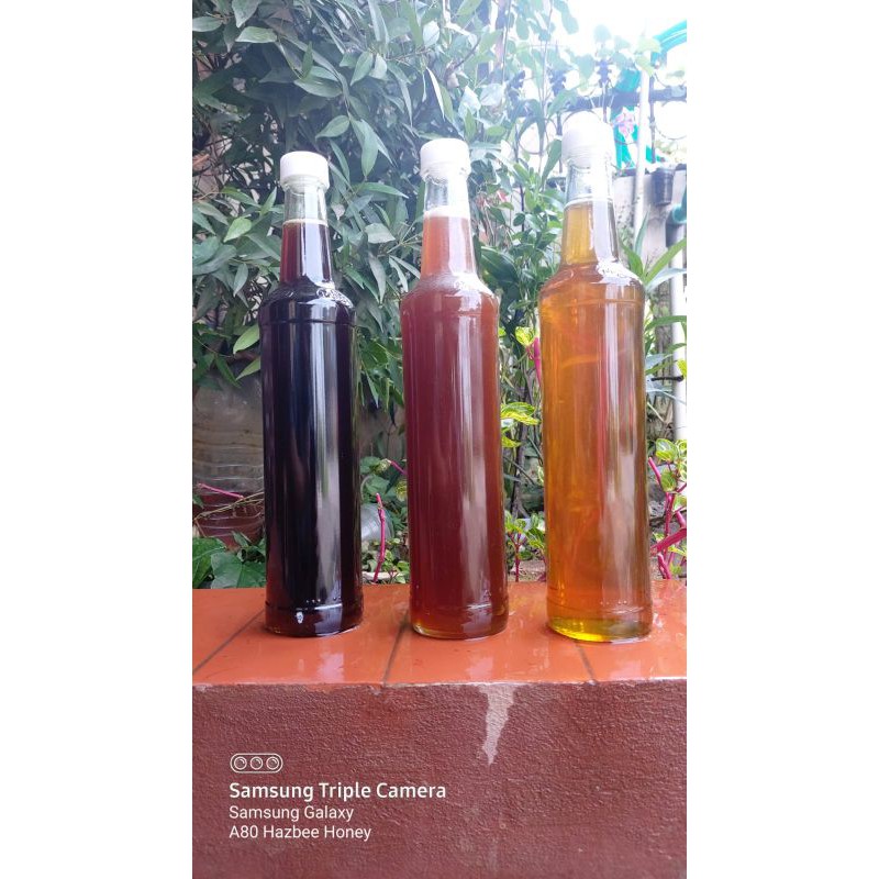Jual Madu Murni lebah Apic Dorsata/Odeng Botol 460 ml | Shopee Indonesia