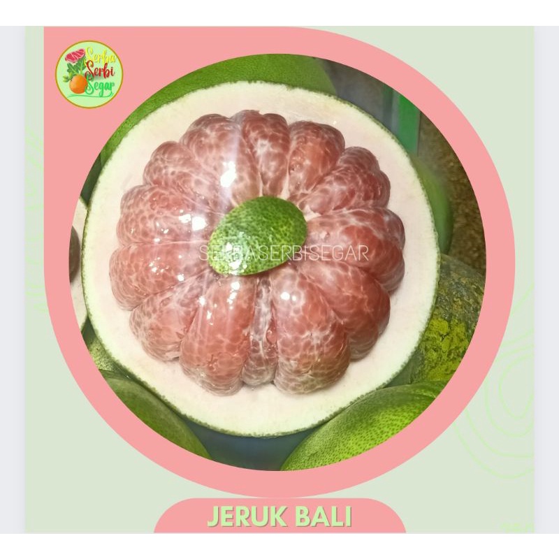 Jual JERUK BALI | Shopee Indonesia