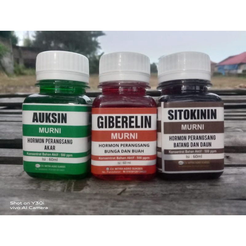 Jual CAIRAN HORMON MERANGSANG PERTUMBUHAN TANAMAN AUKSIN,GIBERELIN ...