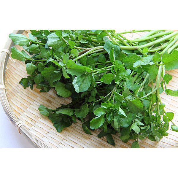 Jual Selada air /ikat | Shopee Indonesia