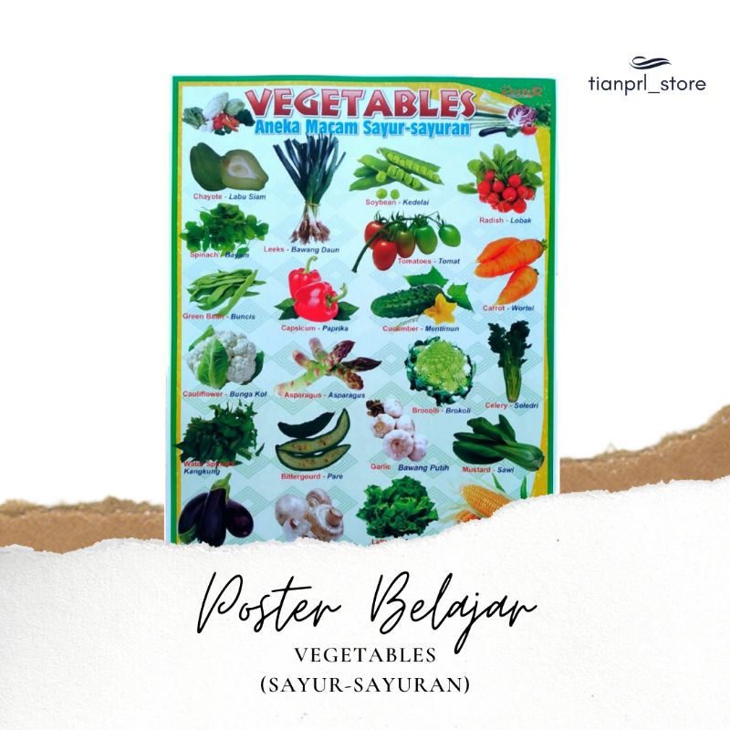 Jual POSTER BELAJAR BERBAGAI JENIS SAYUR-SAYURAN | Shopee Indonesia
