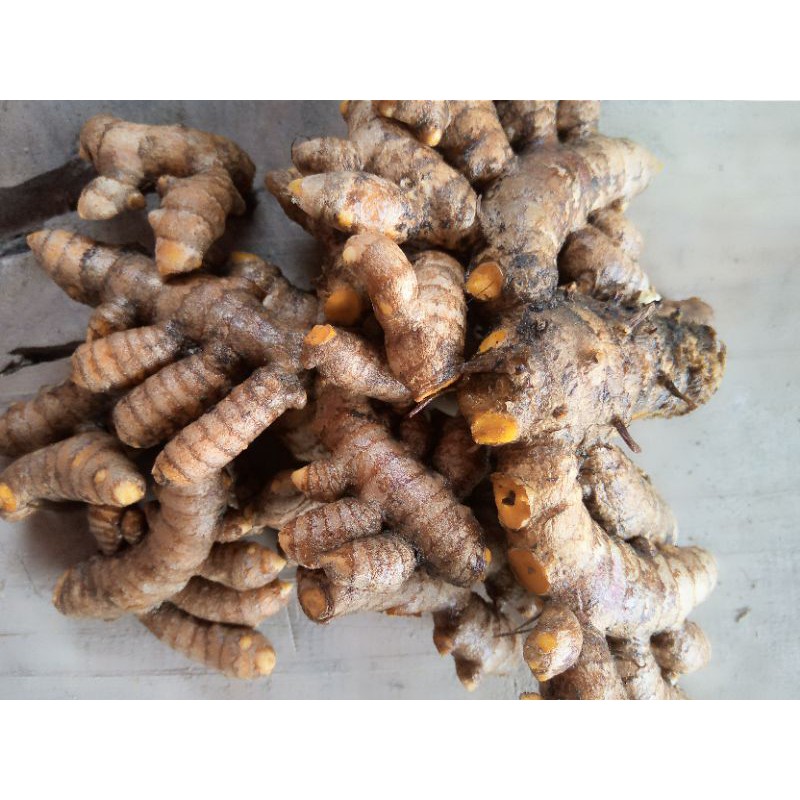 Jual KUNIR (1kg) | Shopee Indonesia