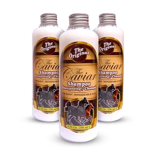 Jual shampoo kuda Harga Terbaik & Termurah Desember 2025 | Shopee Indonesia