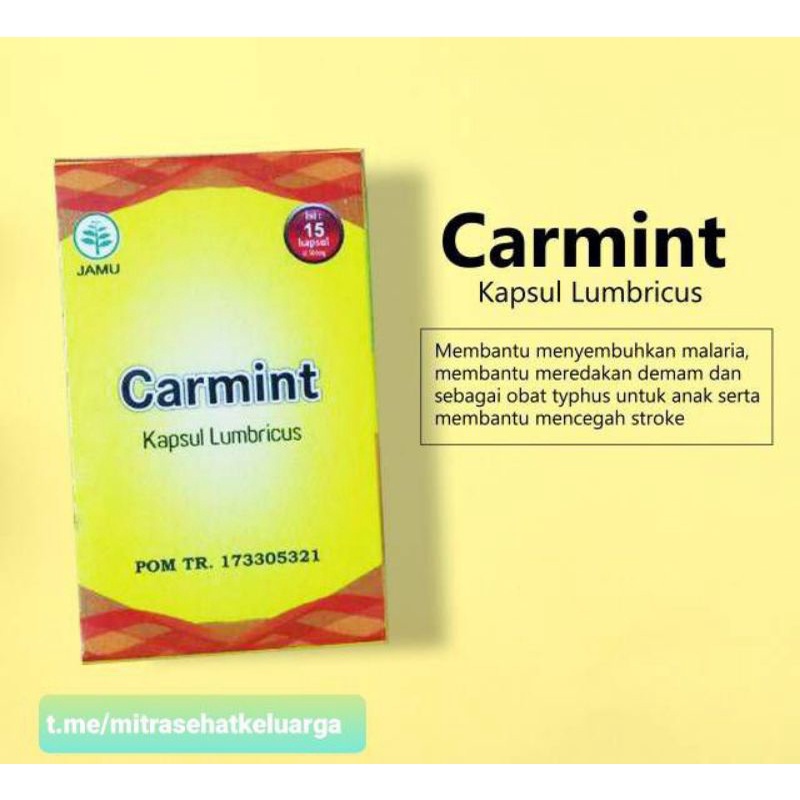 Jual CARMINT - OBAT HERBAL TIPES / THYPUS, MALARIA, DEMAM, DEMAM ...