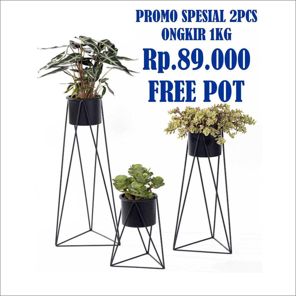 Jual Paket Hemat Standing Vas Segitiga (1kg isi 2pcs) - Standing Pot ...