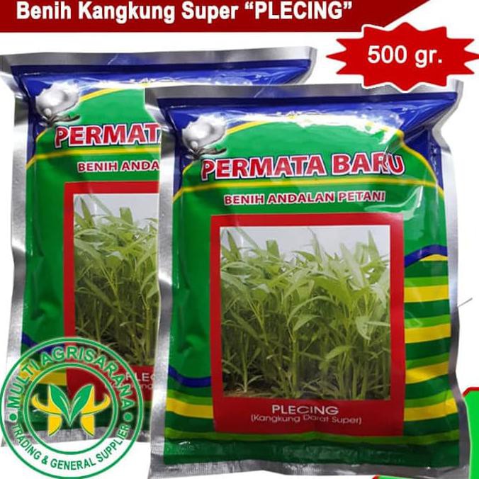 Jual Produk Ready Benih Kangkung Plecing 500 Gram | Shopee Indonesia