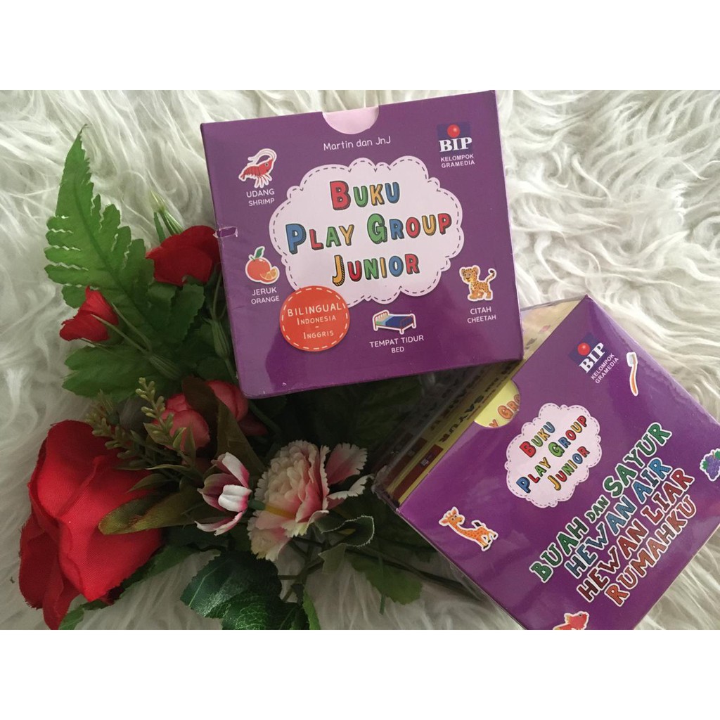 Jual Buku Play Group Junior (BOX) | Shopee Indonesia
