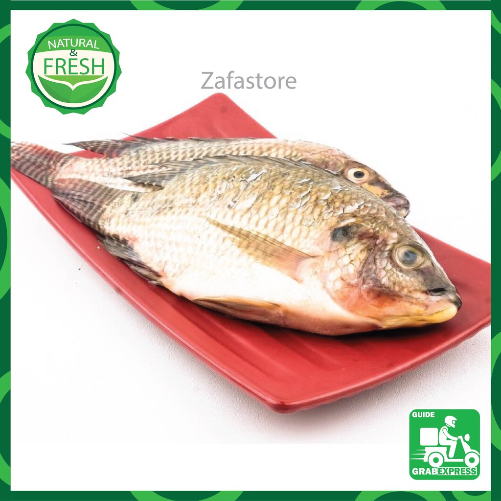 Jual IKAN MUJAIR MAKANAN DAGING IKAN SEGAR FRESH 500 GRAM | Shopee ...