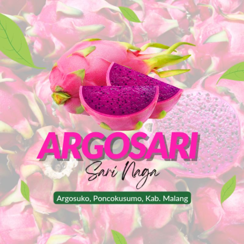 Jual Argosari Sari Buah Naga | Shopee Indonesia