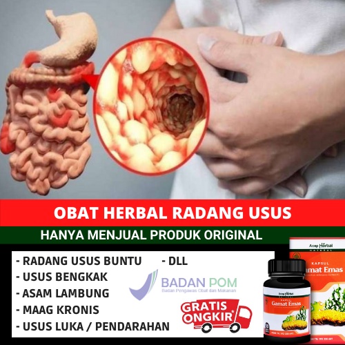 Jual Obat Radang Usus Buntu Maag Akut Luka Pada Usus Bengkak Lecet Luka ...