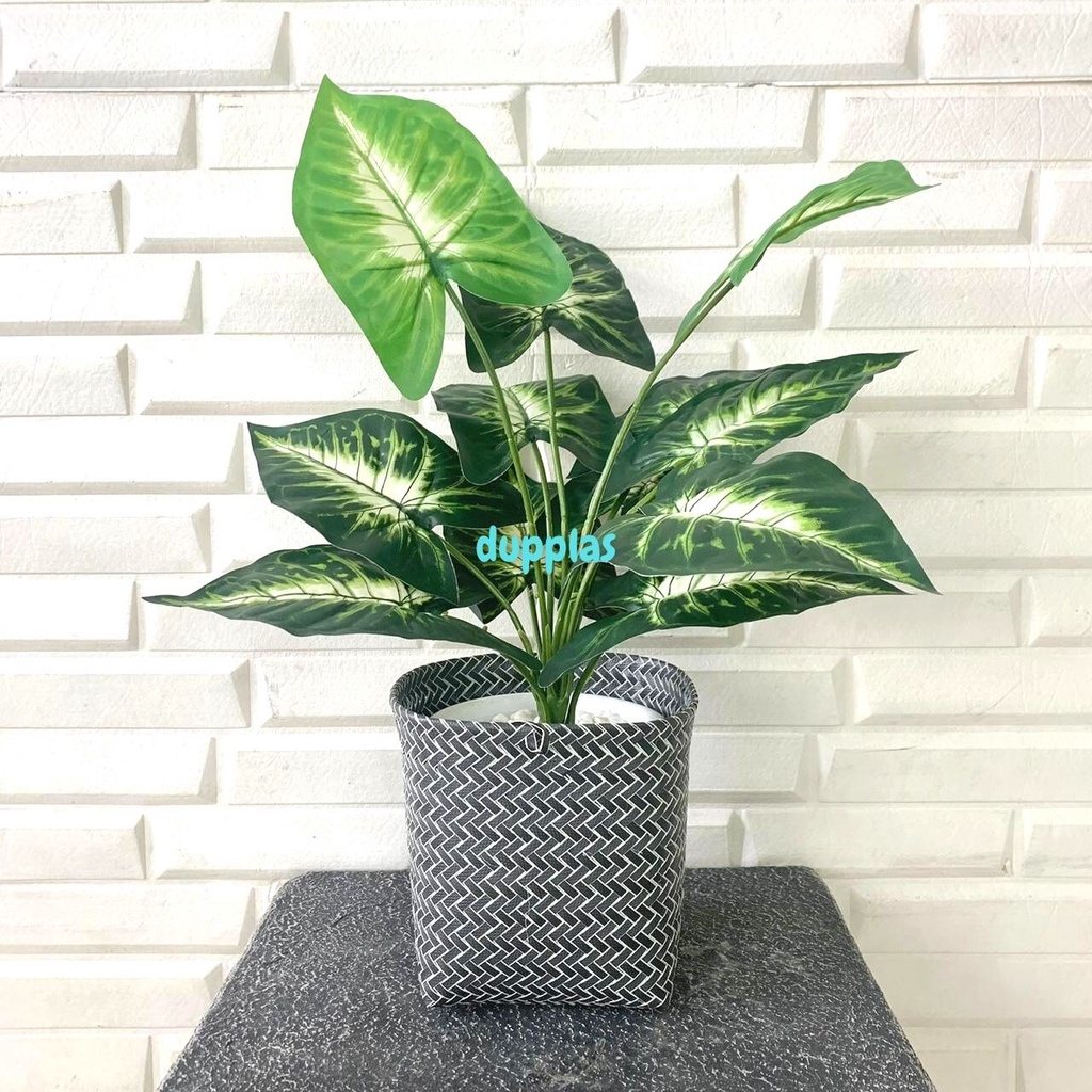 Jual Tanaman Daun Bahagia X12 Semi Latex Artificial Pot Yogap Cover ...