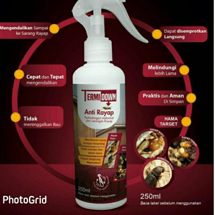 Jual Spray Basmi Rayap TERMIDOWN 250ml Pembasmi Rayap Kayu, Rayap Tanah ...