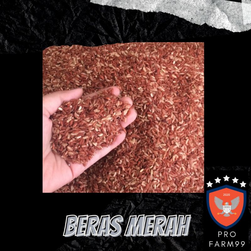 Jual Beras Merah Konsumsi Diet Beras Merah Murah 1Kg | Shopee Indonesia