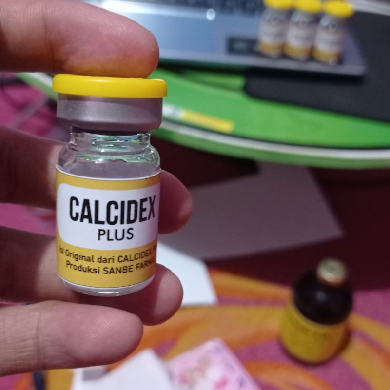 Jual Calcidex Plus Repack 5ml Obat Lumpuh Hewan Obat Kekurangan Kalsium ...