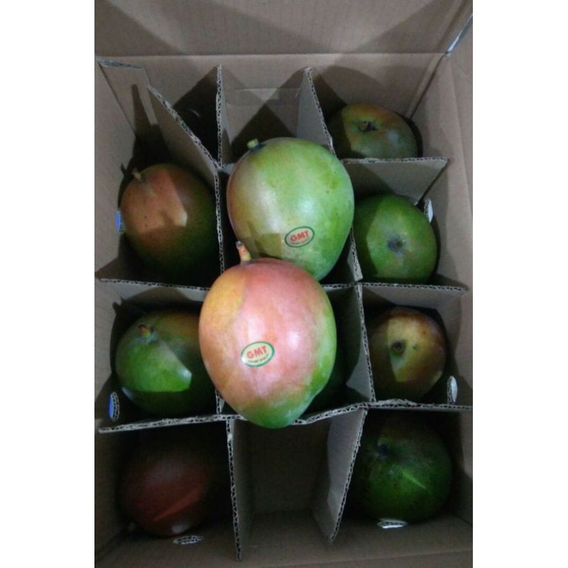 Jual BUAH MANGGA BRAZIL MANGGA IRWIN MANGGA KELAPA GROSIR | Shopee ...