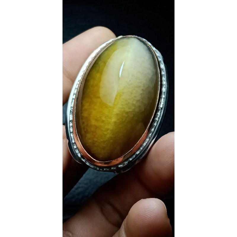 Jual BERBAGAI MACAM.PANDAN | Shopee Indonesia