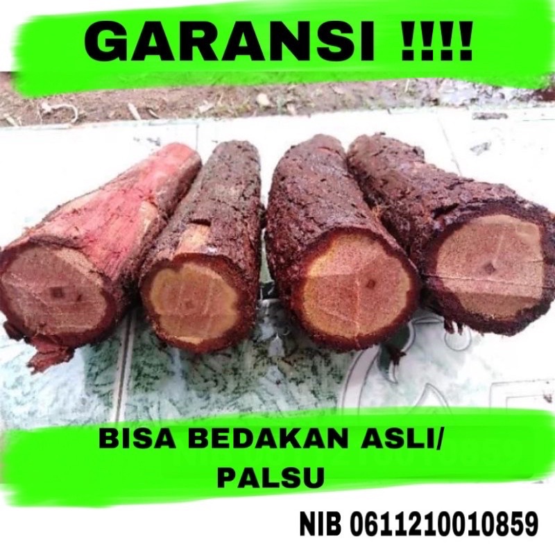 Jual kayu bajakah batangan 1 KG bajakah utuh asli Kalimantan / akar ...