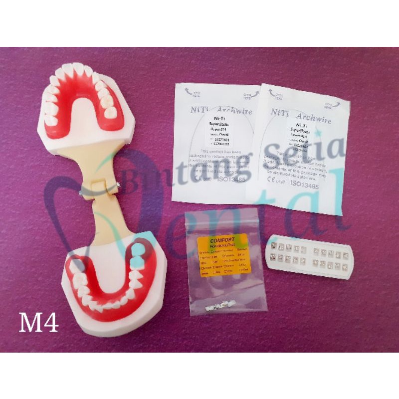Jual TYPODONT SET ORTHO M4 (MODEL GIGI NORMAL) | Shopee Indonesia