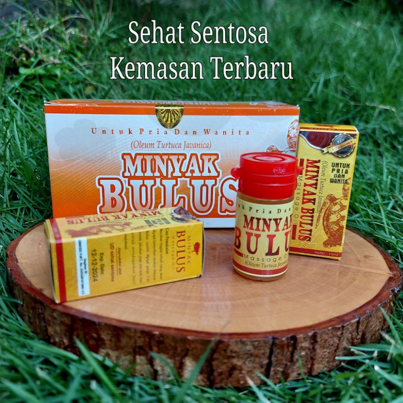 Jual Minyak Bulus SEHAT SENTOSA 15ml - Bulus Oil Obat Kulit Gatal Kadas ...