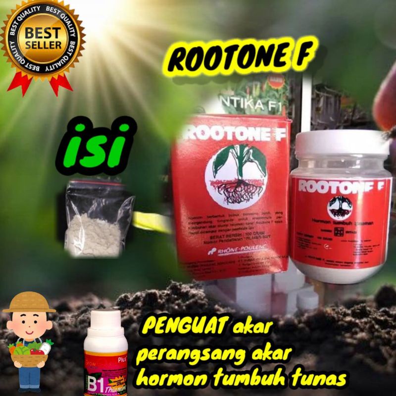 Jual penguat akar hormon tumbuh tanaman rootone f | Shopee Indonesia
