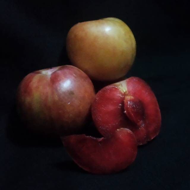 Jual Plum Manis - Dapple dandy - Pluot - Plum Apricot - Dinosaurs egg ...