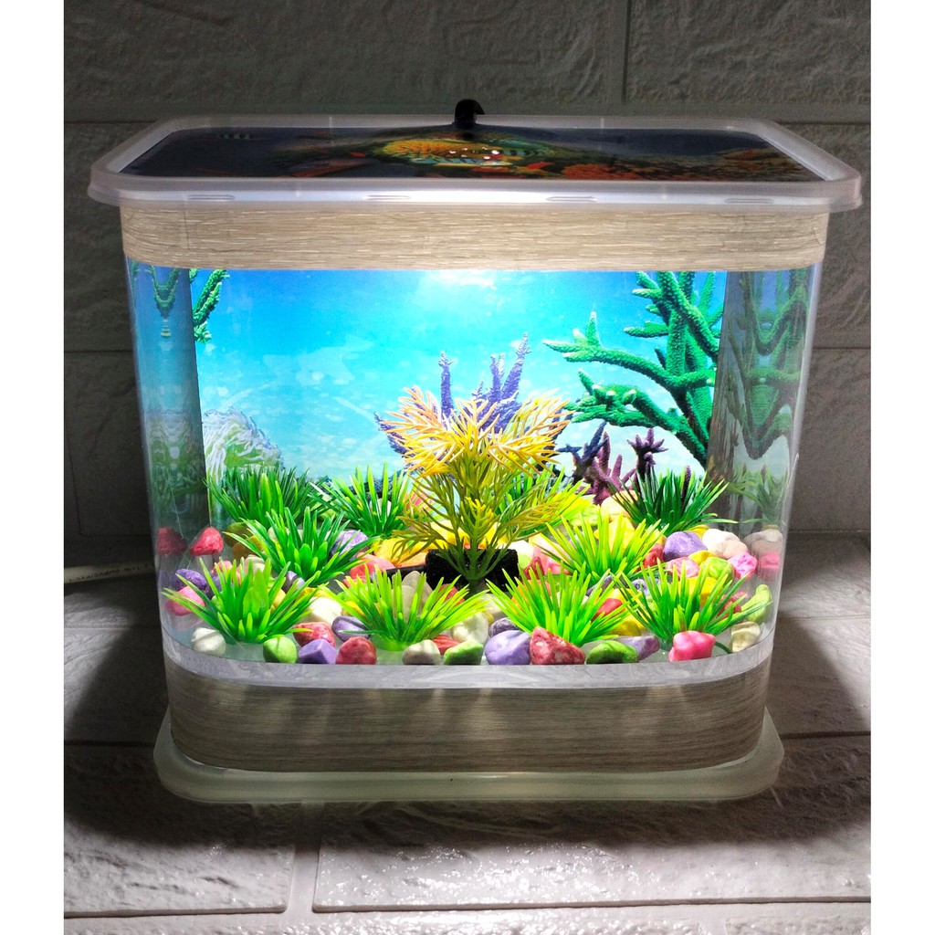Jual AQUARIUM KOTAK MINIMALIS PLUS AERATOR OXYGEN DAN LAMPU LED 3 WATT ...