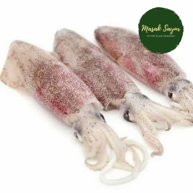 Jual cumi basah segar premium 250 gram | Shopee Indonesia