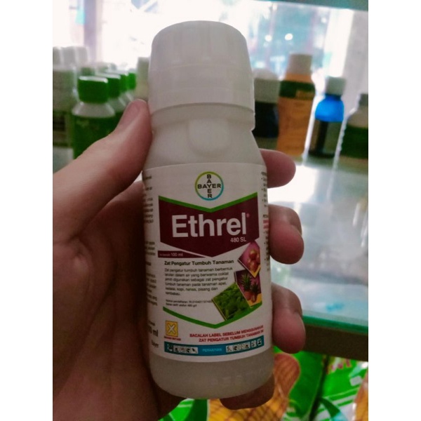 Jual ZPT Ethrel 480sl 100ml pematang tanaman apel, kedelai, kopi, nanas ...