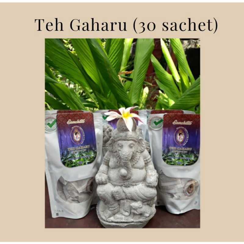 Jual Teh Gaharu Sanchita | Shopee Indonesia