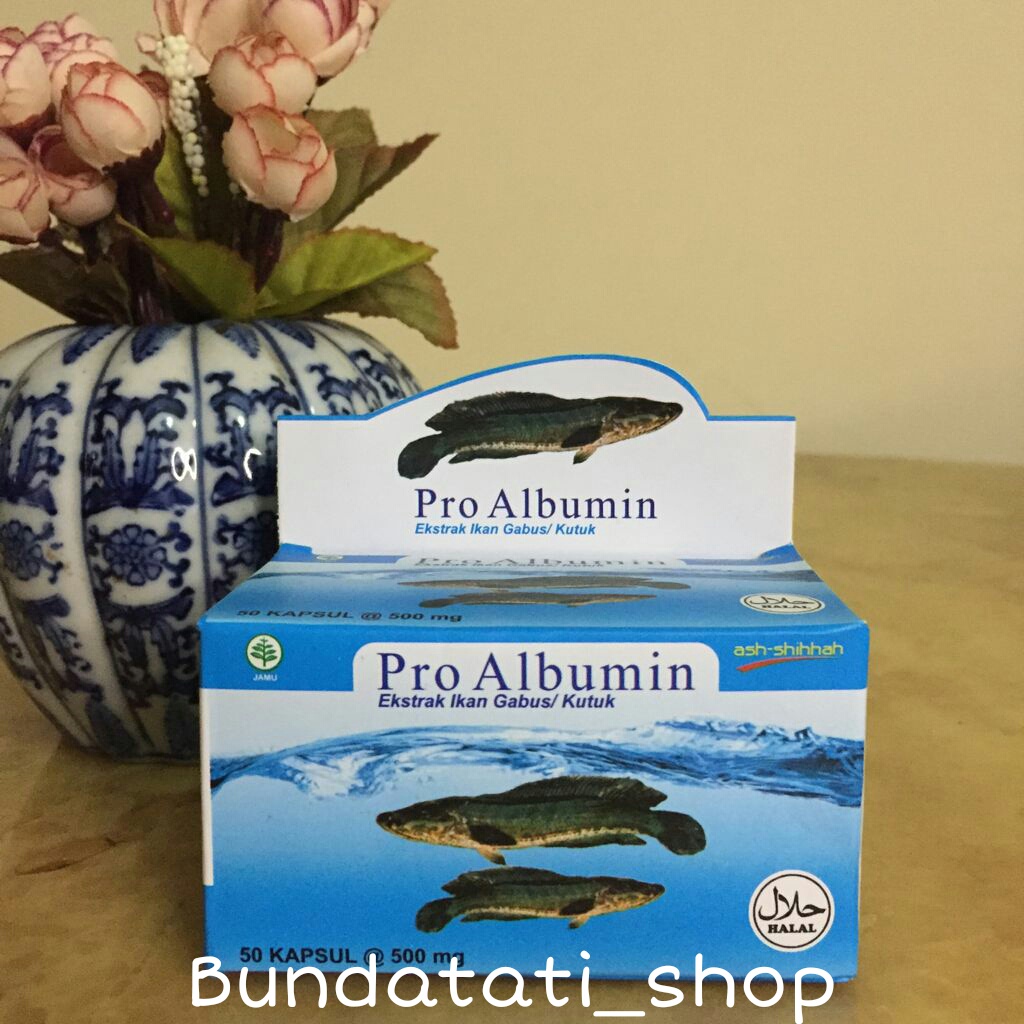 Jual Kapsul pro albumin ikan gabus kutuk | Shopee Indonesia