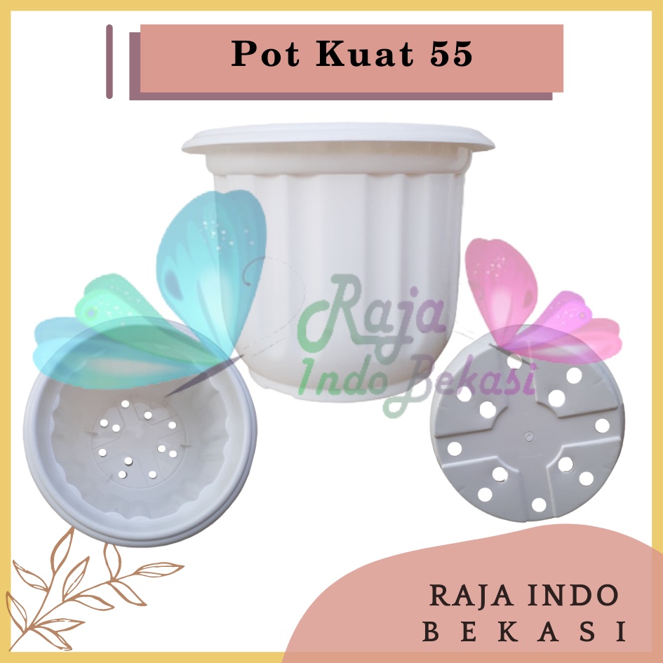 Jual ONLY SAMEDAY AND INSTAN Pot Kuat 55 Putih - Pot Besar Jumbo Murah ...