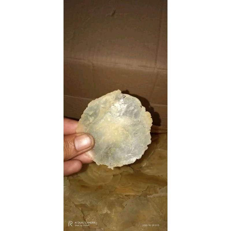 Jual EMPING MELINJO MENTAH KHAS MENES KEMASAN 500 GRAM | Shopee Indonesia