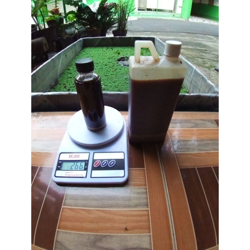 Jual bakteri Zet 250 ml repack | Shopee Indonesia