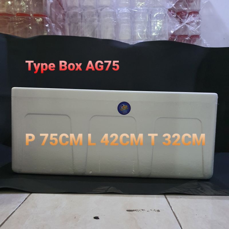 Jual Styrofoam Box AG 75 Low Kualitas A ukuran 75 x 42 x 32 cm Box Sterefoam Besar | Shopee ...