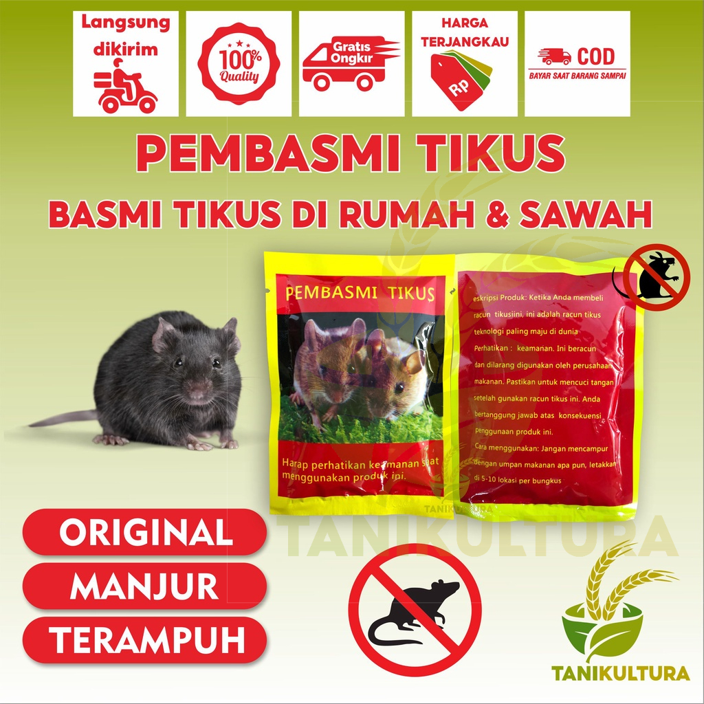 Jual Pembasmi Tikus Paling Ampuh Di Rumah Dan Sawah Racun Tikus Ampuh ...
