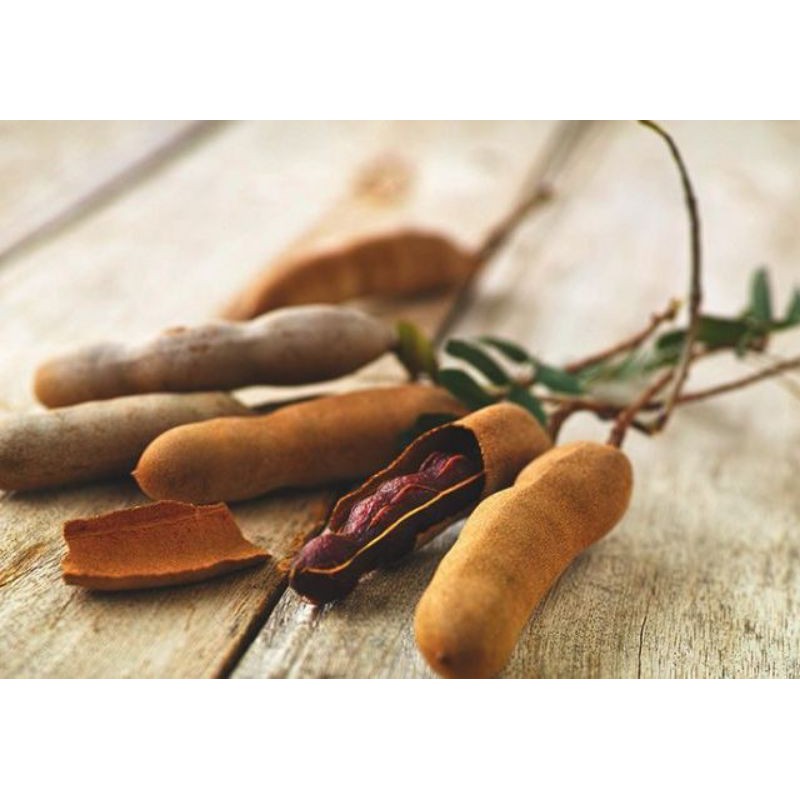 Jual asam jawa 500g | Shopee Indonesia