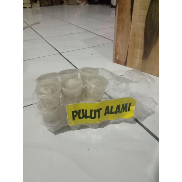 Jual pulut burung jebakan pikat burung dari getah karet asli | Shopee ...