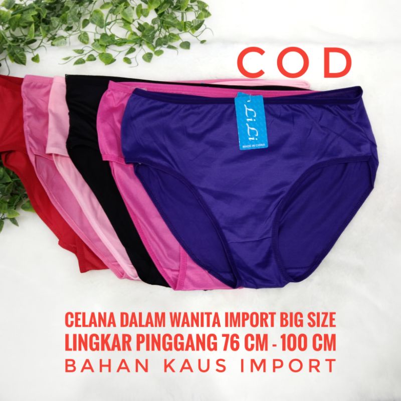 Jual 12 Pcs Celana Dalam Wanita Perempuan Jumbo CD Murah Lusinan ChangCut Big Size 2L 3L ...