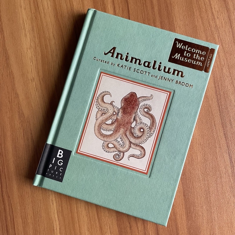 Jual Animalium Welcome To The Museum Katie Scott Jenny Broom Mini Gift ...