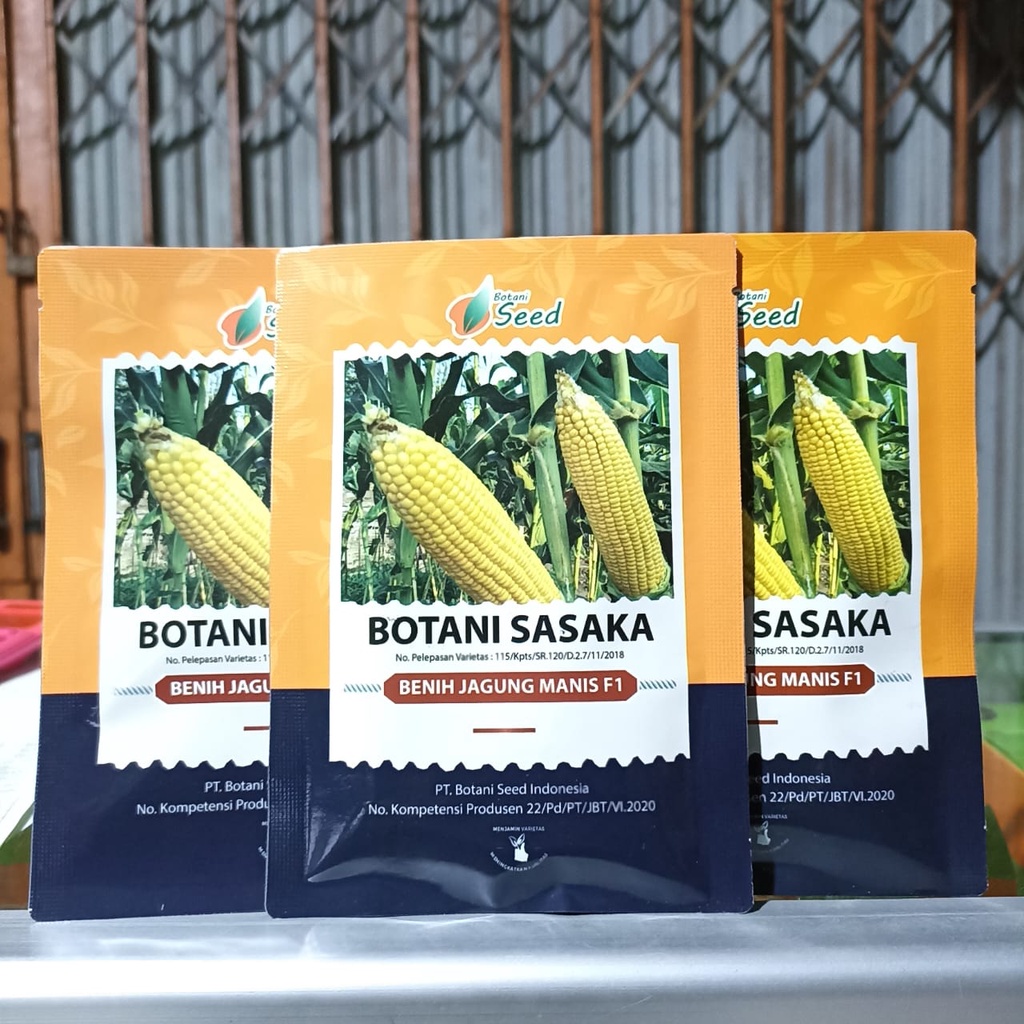 Jual Benih Bibit Jagung Manis Unggul Sasaka 8 Gr Botani Seed | Shopee ...