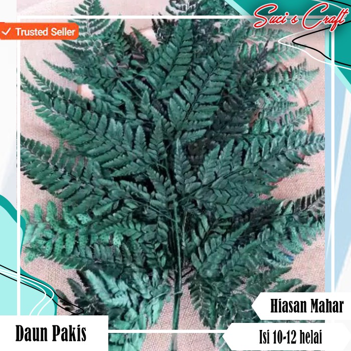 Jual Daun Pakis Kering Daun Paku Kering Hiasan Mahar rustic | Shopee ...