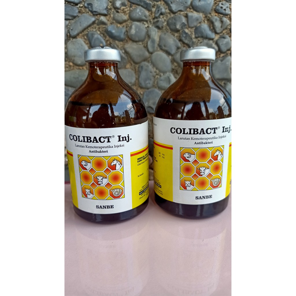 Jual Colibact Inj 100 ml | Shopee Indonesia Jual Colibact Inj 100 ml | Shopee Indonesia