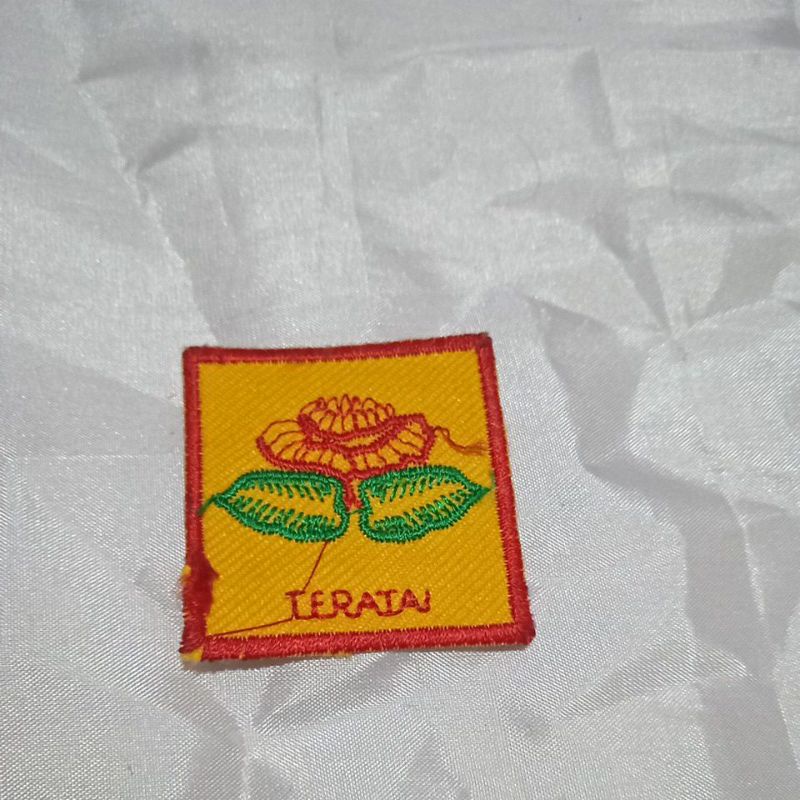 Jual TANDA REGU ,badge PRAMUKA PUTRI | Shopee Indonesia
